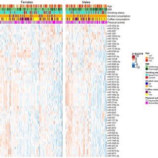 Heatmap Reporting Separately For Males And Females The Results Of The Download Scientific
