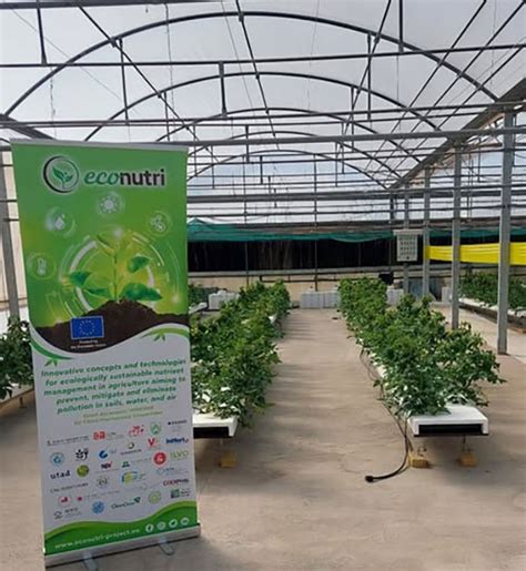 4 November 2024 Ari Is Introducing Hydroponic Technology To Cyprus