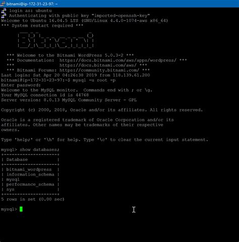 Unable To Connect R To Mysql Which Is Hosted In Bitnami Server In Aws Stack Overflow