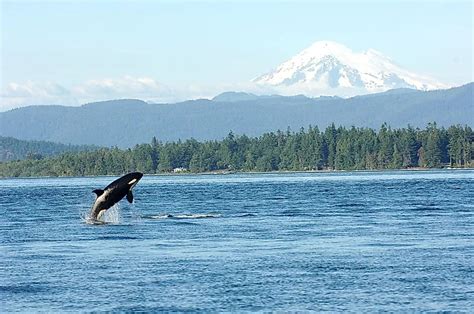 Puget Sound Location Puget Sound Wikipedia