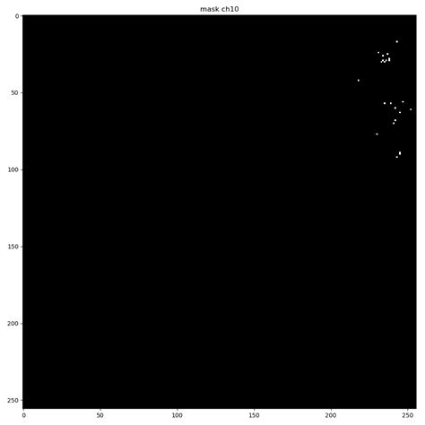 multi class cross entropy loss function implementation in pytorch