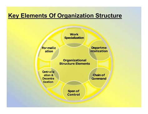 OB STRUCTURE GROUP DYNAMICS PPT