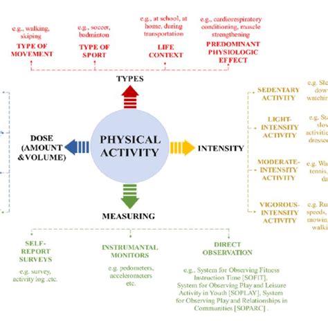 The Diagram Indicates Physical Activity Types Intensity Measuring