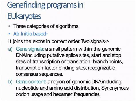 Gene Prediction And Expression Pptx Programming Languages Computing