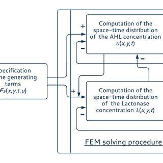 Functional Block Diagram Of The Model Implementation Download Scientific Diagram