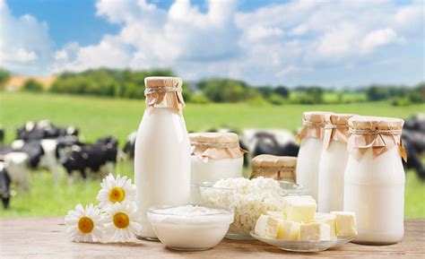 Challenge Launches Butter Cubes Dairy Foods