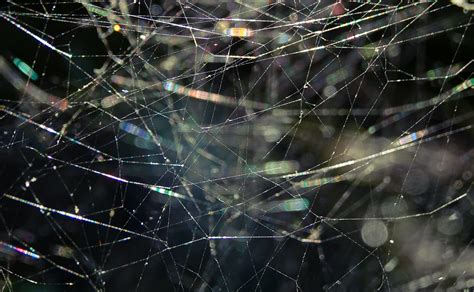 Restful Api Evolution With Hateoas By Victor Krapivin Medium