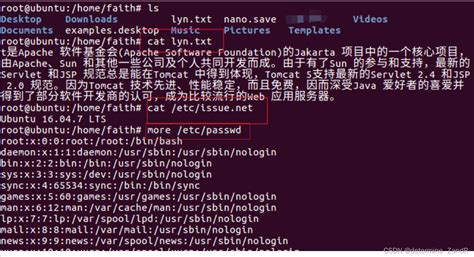 【linux】linux入门学习之常用命令二linux Ls Dir Csdn博客
