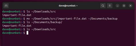 Cant Find A File Youve Moved On Linux The Culprit Might Be Slash