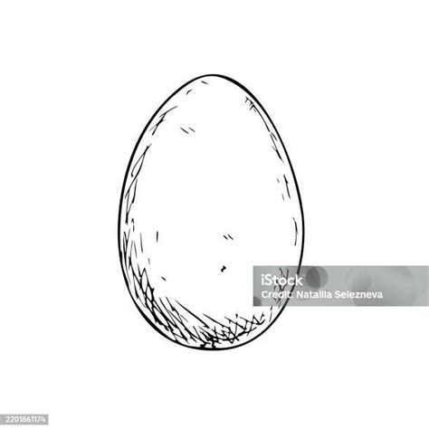 벡터 날달걀 그래픽 잉크 달걀 껍질 그림이 배경에 고립되어 있습니다 손으로 그린 선 스케치 디자이너 프린트 로고 아이콘 메뉴 엽서 휴일 표지 가금류에 대한 스톡 벡터 아트
