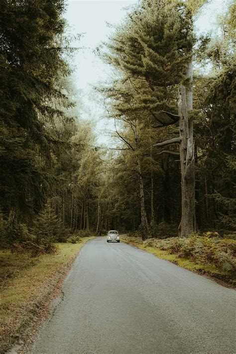숲 한가운데서 도로를 달리는 자동차 사진 Unsplash의 무료 길 이미지