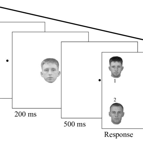 4 Trial Example For The Cambridge Face Memory Test All Stimuli For