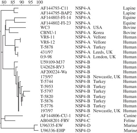 dendrogram maximum parsimony of sequences of the gene encoding