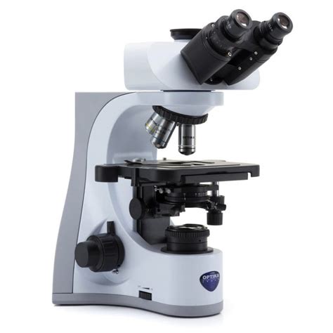 Understanding Stage Microscope Function A Complete Guide