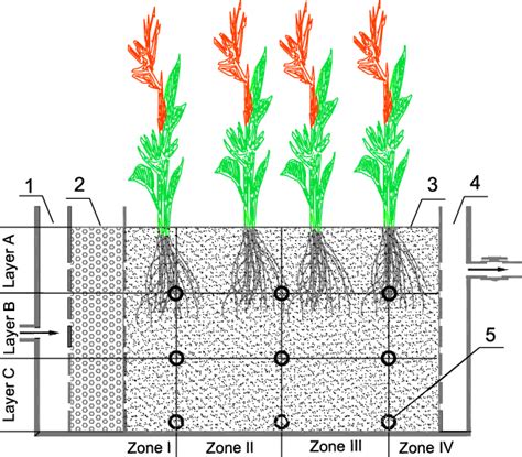 Longitudinal Diagram Of The Horizontal Subsurface Flow Constructed Download Scientific Diagram