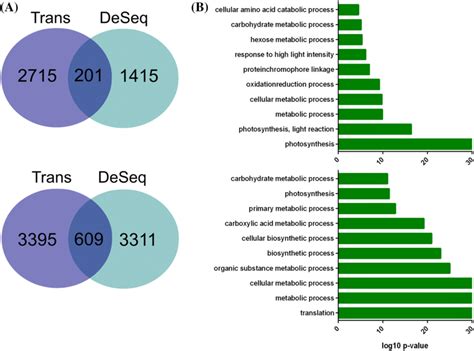 A Venn Diagram Of Deg From Deseq And Transcriptomic Analysis Trans Download Scientific