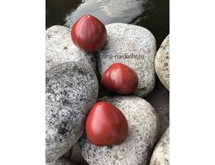 Черное сердце с носиком