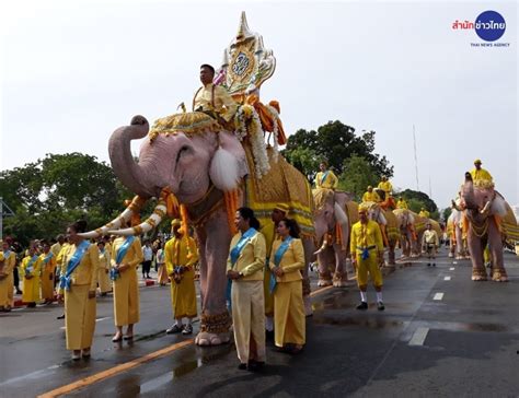 Ayutthaya Elephants Parade In Bangkok To Honour The King Of Thailand