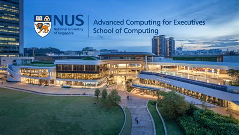 Advanced Computing For Executives Nus School Of Computing