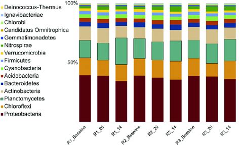 Microbial Community Composition Relative Abundance Of The Top 15