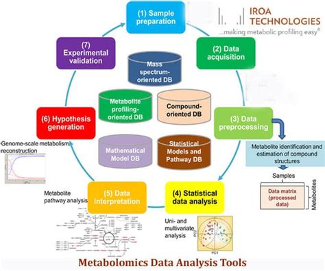 Iroa Technologies Llc Helps You In Your Metabolomic Reasearchwith The