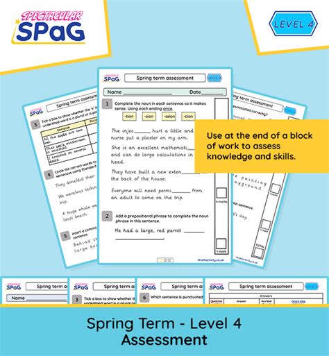 Year 4 End Of Spring Term Spag Assessment Check Grammar Progress