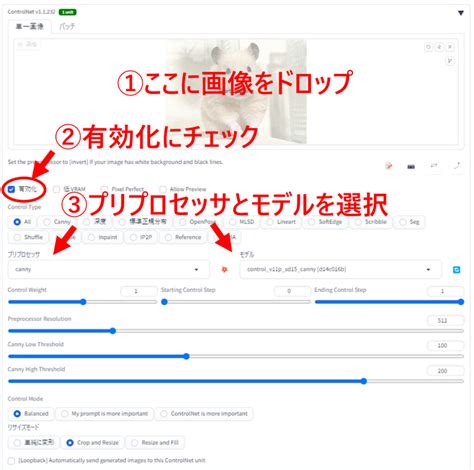 ControlNetのインストール方法と使い方Stable Diffusion web UI りけすた