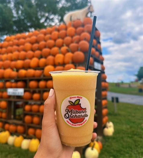 Milburn Orchards Elkton Md