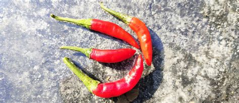 복사 공간이있는 독특한 회색 흰색 배경에 매운 붉은 칠리 페퍼의 최고 보기 0명에 대한 스톡 사진 및 기타 이미지 0명 건강한 생활방식 건강한 식생활 Istock