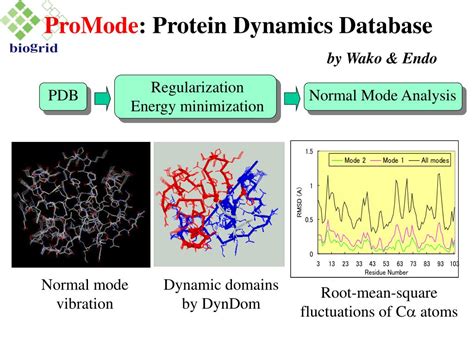 PPT BioGrid Integration Of Biological Data Grid And Computing Grid PowerPoint Presentation