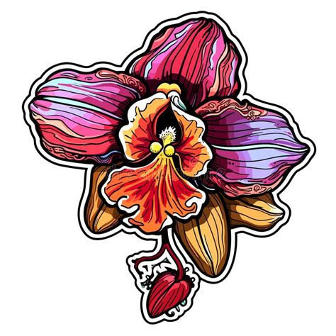 Vagina Flower Stock Illustrations Vagina Flower Stock Illustrations Vectors Clipart