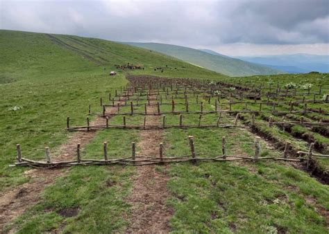 Новини от Севлиево вестник Росица