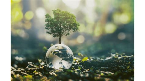 Sustainability In Procurement