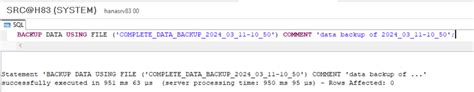 Copy A Tenant Database Using System Replication Sap Community