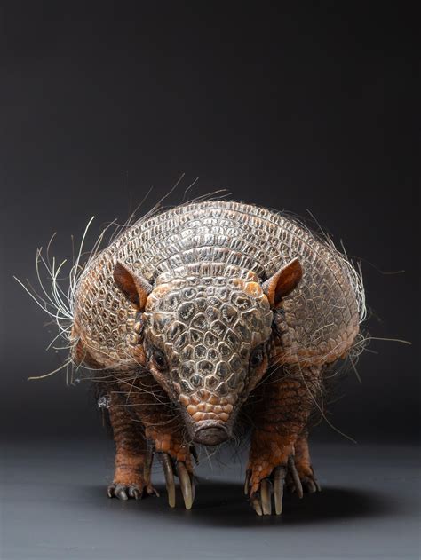 Pow Krak Zoom Witness Earths Mightiest Creatures With Extreme