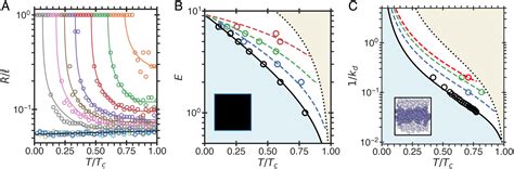 Formation Of Dissipative Structures In Microscopic Models Of Mixtures With Species