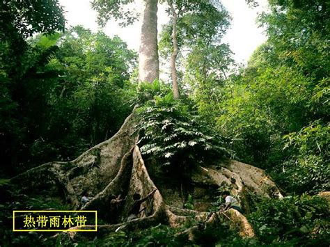 5 2 自然地理环境的差异性 人教版必修1 Word文档在线阅读与下载 无忧文档