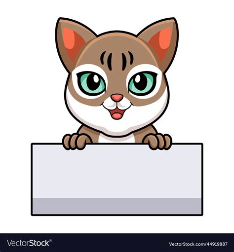 Cute Singapura Cat Cartoon Holding Blank Sign Vector Image