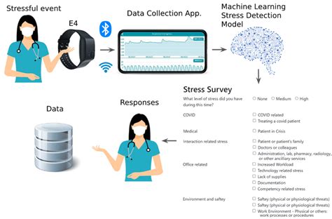Stress Detection Apparatus Download Scientific Diagram
