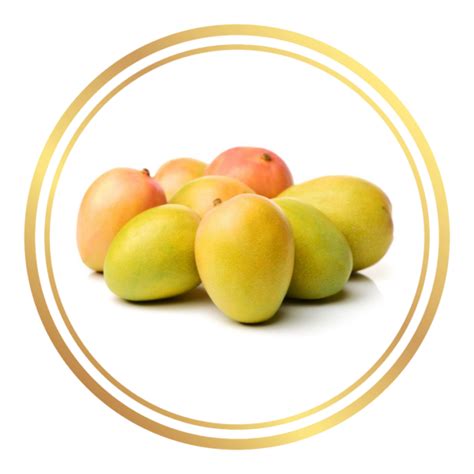 Kensington Pride Mango Tree Perth Wa