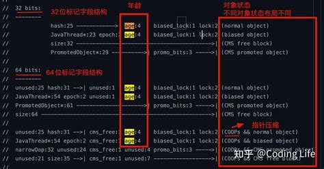 JVM 笔记 Java内存区域详解 知乎