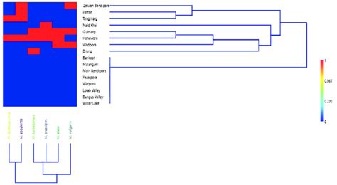 two way cluster analysis using euclidian s cluster method showing the