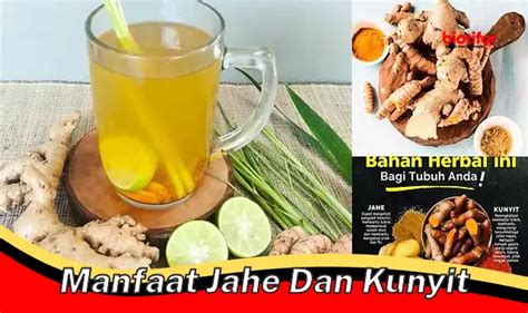 Temukan Manfaat Jahe Dan Kunyit Yang Jarang Diketahui Biotifor
