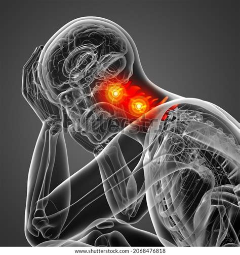 경추 측면 뷰의 3d 렌더링 스톡 일러스트 2068476818 Shutterstock