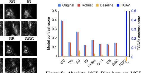Bim Towards Quantitative Evaluation Of Interpretability Methods With Ground Truth