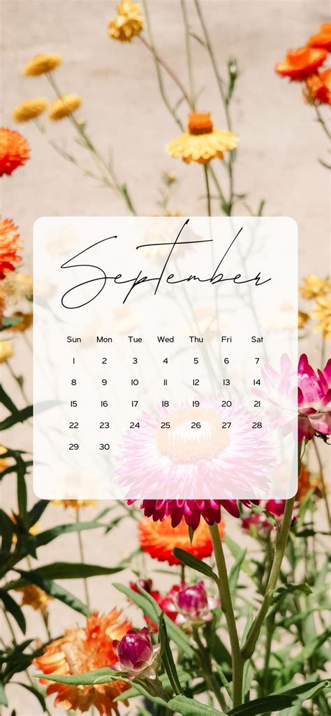 September Aesthetic Wallpapers 4k Hd September Aesthetic Backgrounds