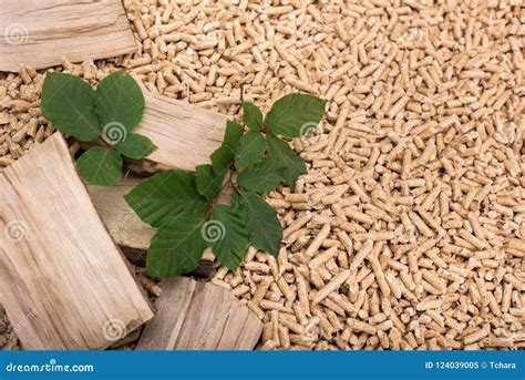 Biomass From Wood Waste Pelets Woodchip Royalty Free Stock