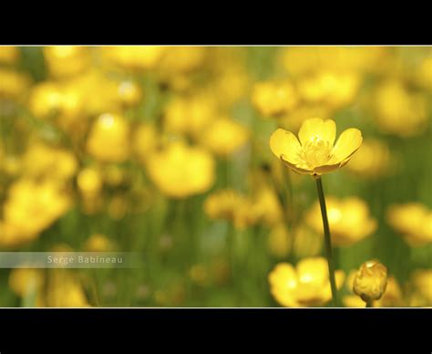 Elevation Of Scoudouc Nb E4p Canada Topographic Map Altitude Map