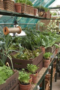 Descubra 16 Ideias De Estufa De Flores E Paisagismo Jardim Jardins Ao Ar Livre Ideias De