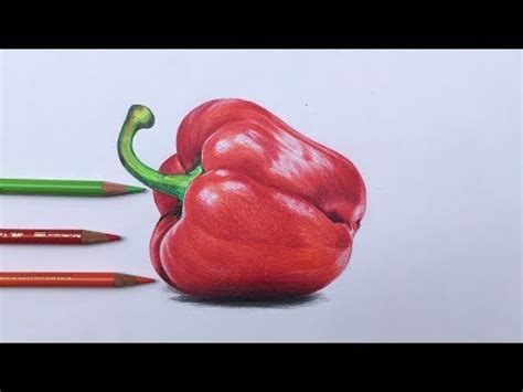 Drawing A Bell Pepper In Colored Pencils How To Draw Capsicum Faber